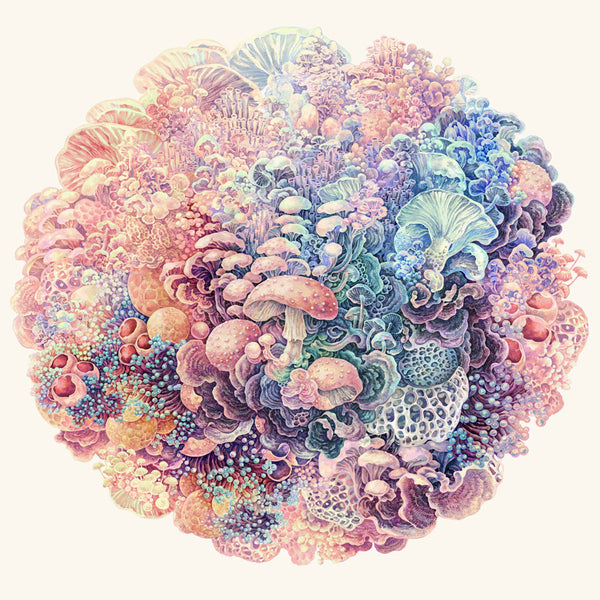 Song Kang | Available Art & Bio | Beinart Gallery