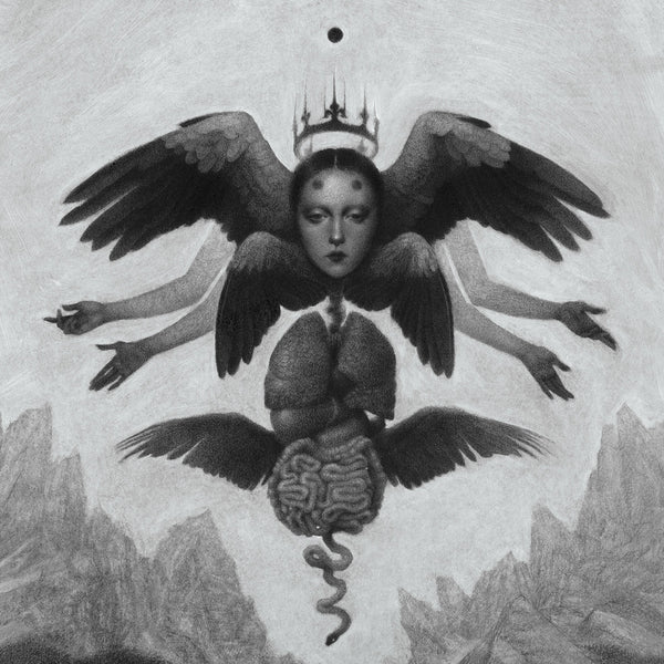 Babs Webb | Available Art & Bio | Beinart Gallery