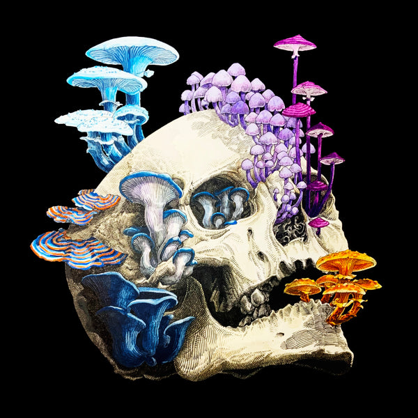 Dan Power | Available Art & Bio | Beinart Gallery