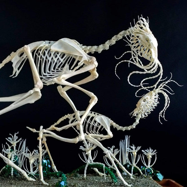 Gerard Geer | Available Art & Bio | Beinart Gallery