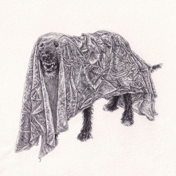 Lucy Donovan | Available Art & Bio | Beinart Gallery