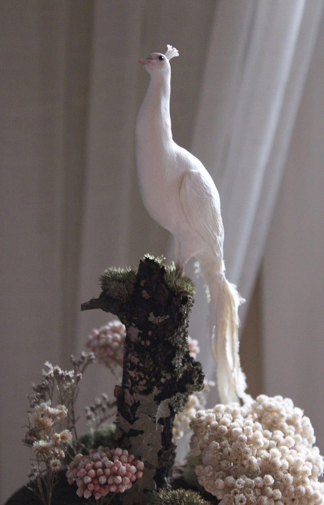 Alexis Savopoulos - "A Spirit of Spring's Rebirth" - stone clay, feath ...