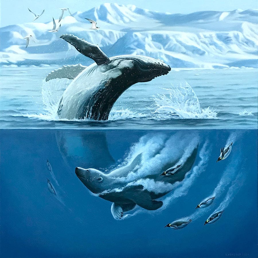 Current & Upcoming Exhibitions | Beinart Gallery