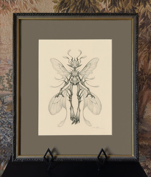 Audrey Benjaminsen - 'Spiny Nettle Fae' - graphite on 280 gsm paper ...