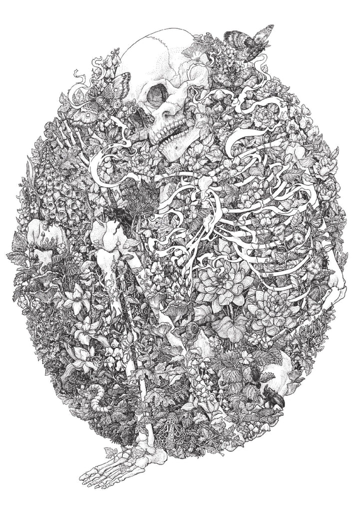 Dan Power - "Rebirth/Decay" - pen and ink on paper | Beinart Gallery