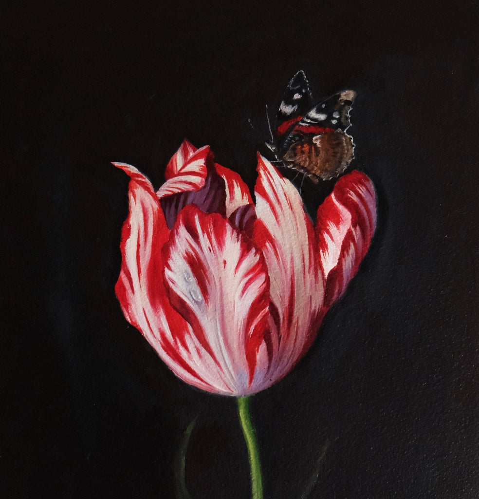 Jennifer Allnutt - "Semper Augustus with Butterfly" - oils on aluminiu ...