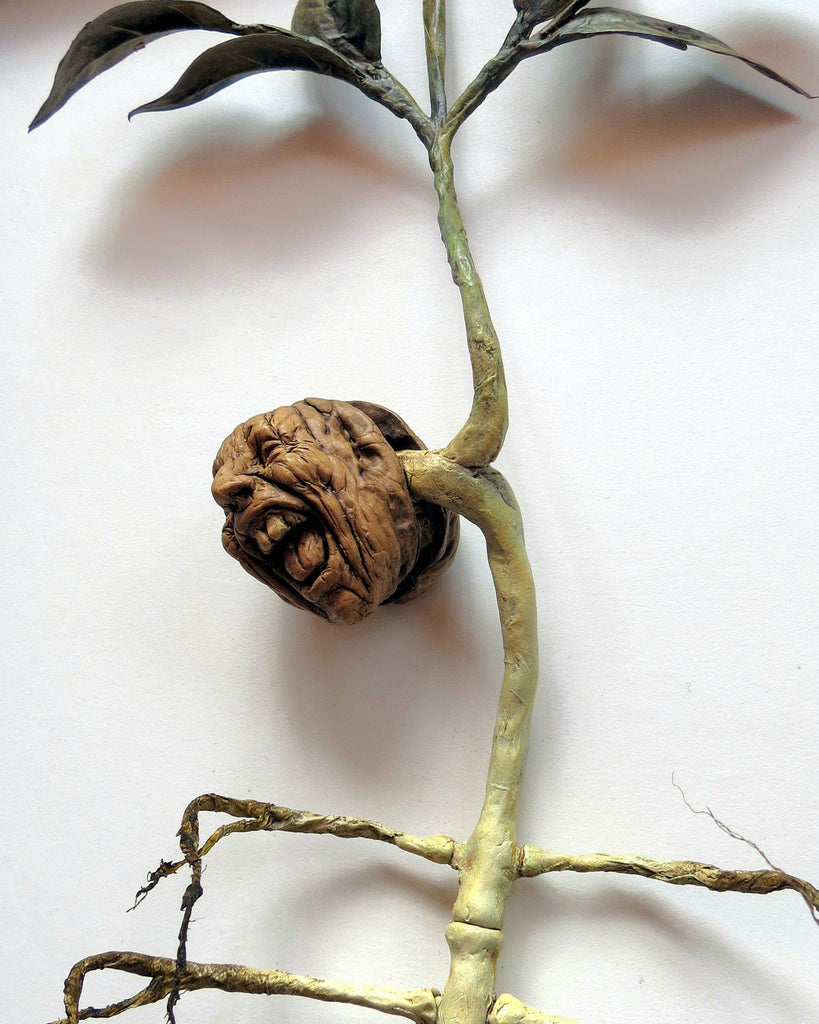 Kirk Roda - "Juglans Motus" - polymer clay, wire, paper, walnut shell ...