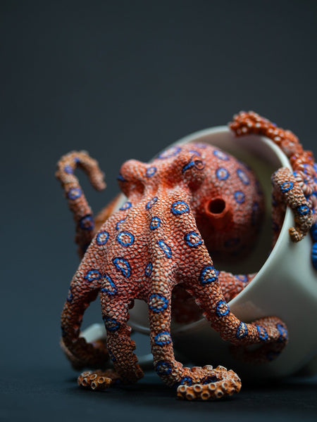 Stéphanie Kilgast - "Blue Ringed Octopus" - mixed media sculpture on t ...