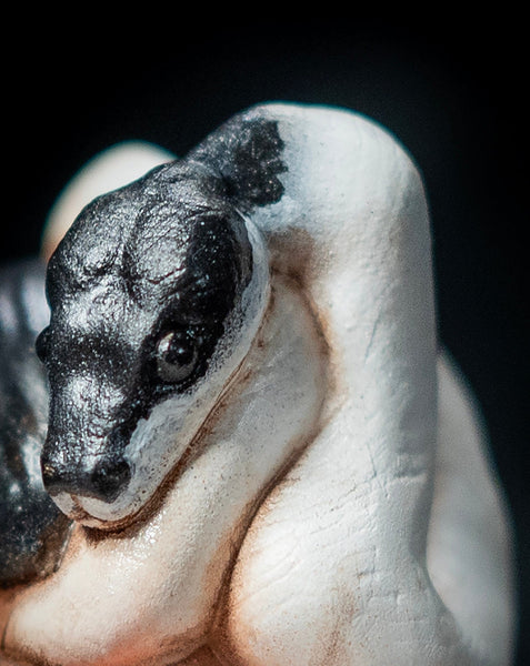 Tokyo Jesus - "Iwakuni (Pied)" - limited edition of 2 | Beinart Gallery