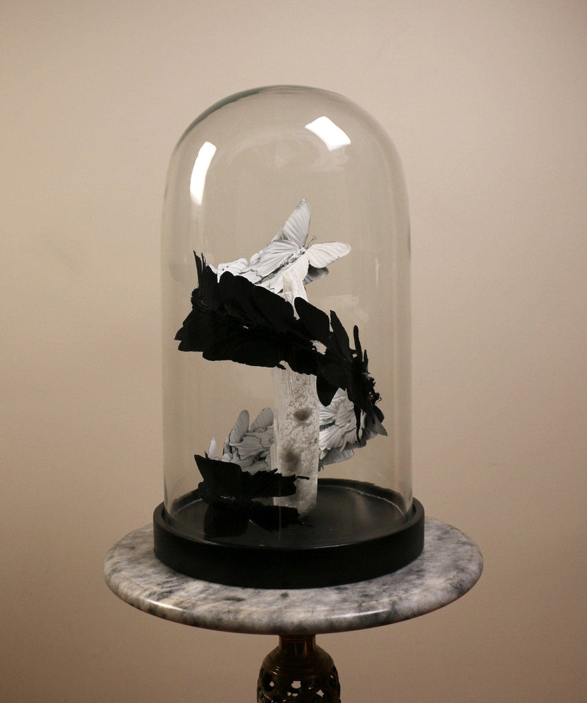 Jason Penfold - "Abundance of Light" - Urania Leilus, selenite, glass ...