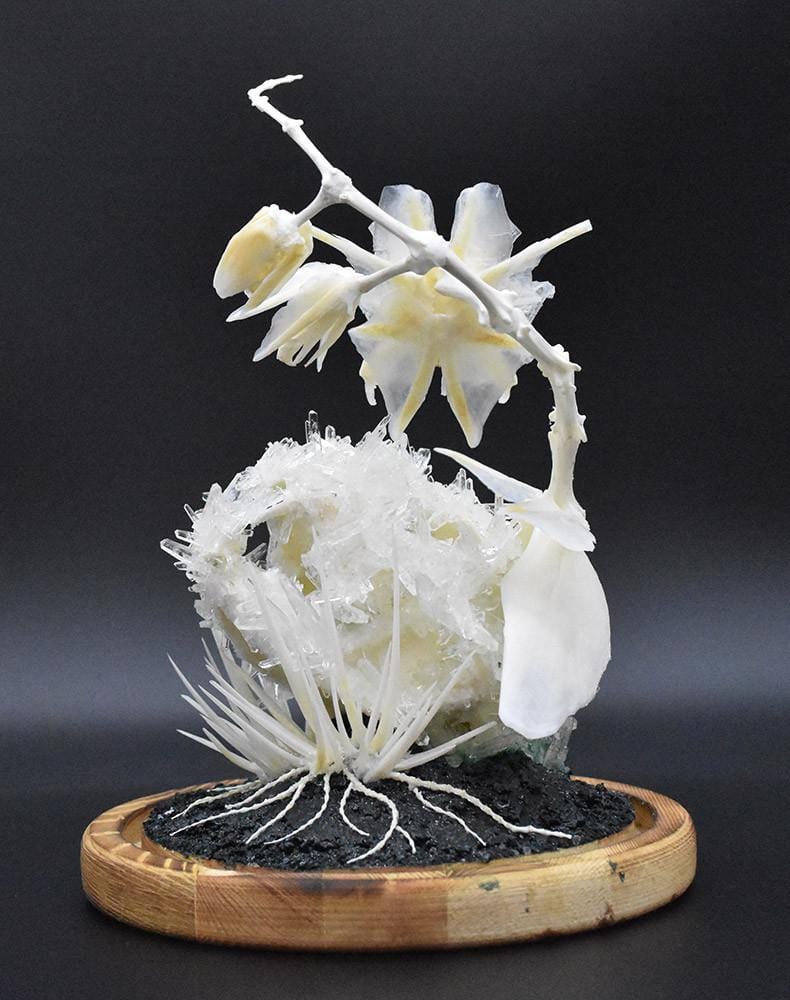 Gerard Geer - "Inflorescence" - crystallised cat skull, fox, mouse and ...